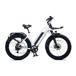 Manuals – LEONCYCLE US